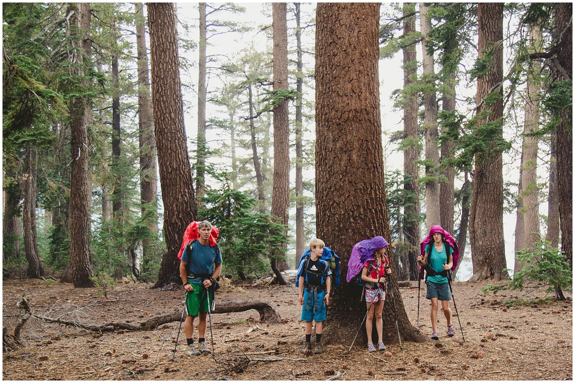 Sequoia National Park: Backpacking with Kids - Born to Adventure ...