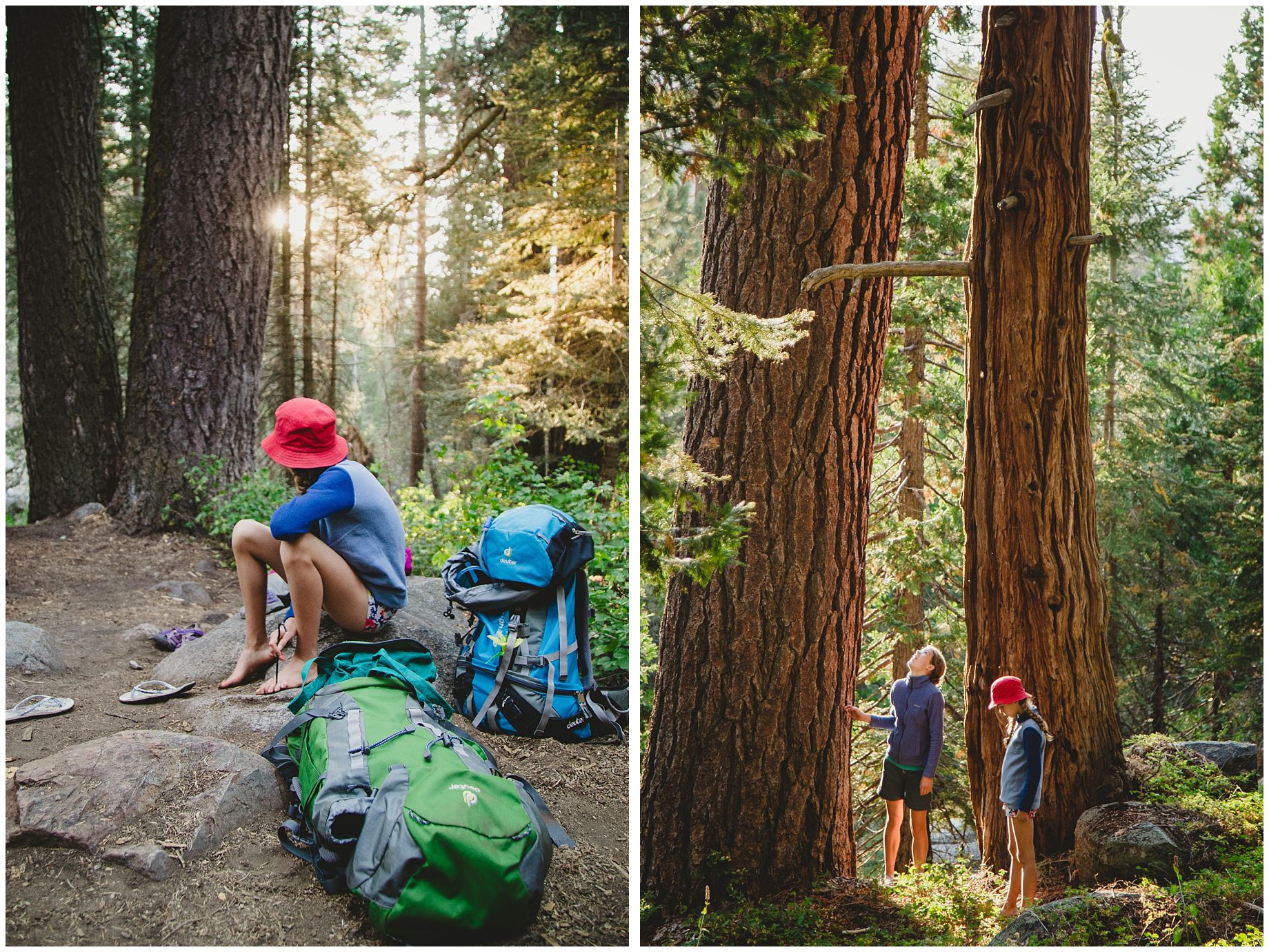 Sequoia National Park: Backpacking with Kids - Born to Adventure ...