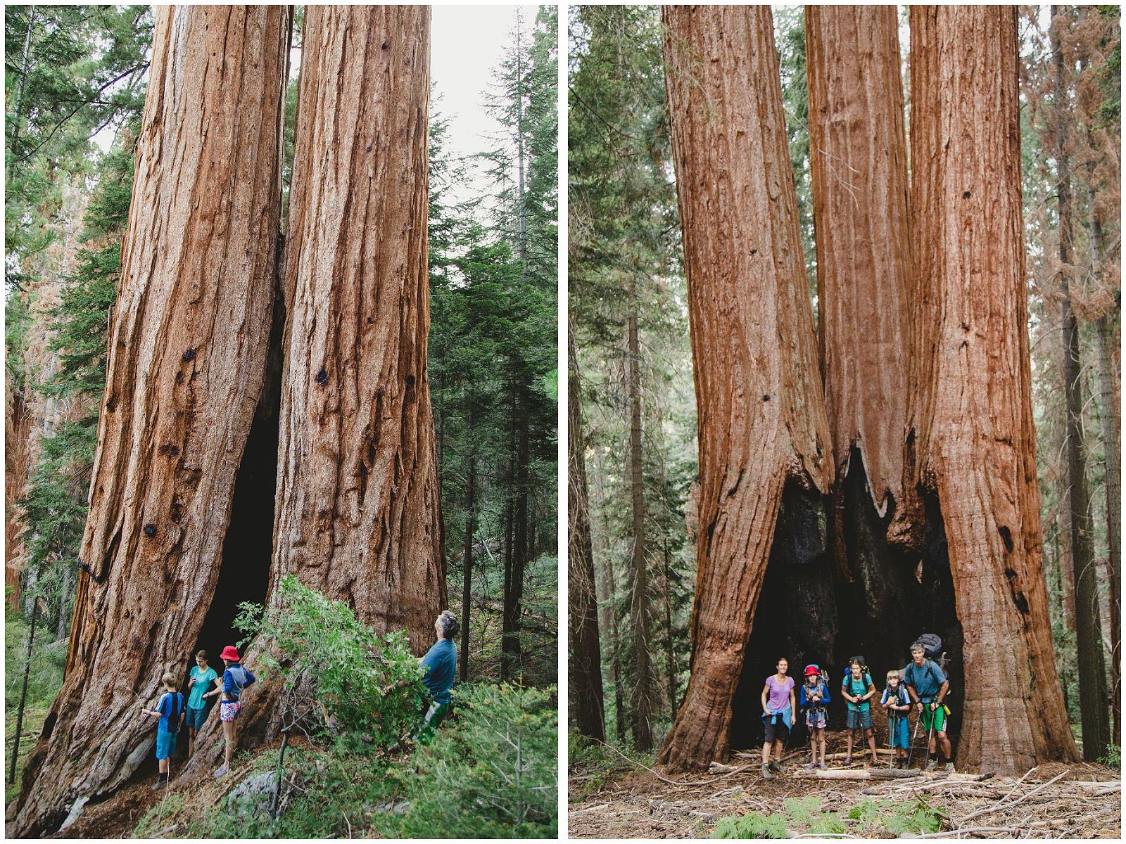 Sequoia National Park: Backpacking with Kids - Born to Adventure ...